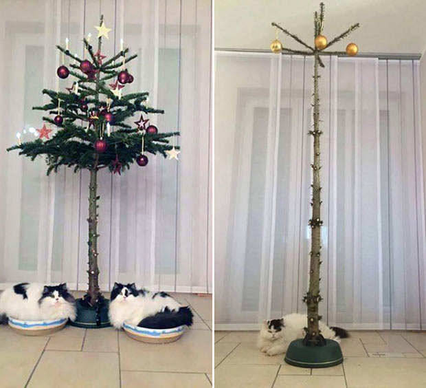 21 Brilliant Hacks to Protect Your Christmas Tree From Pets | Team ...