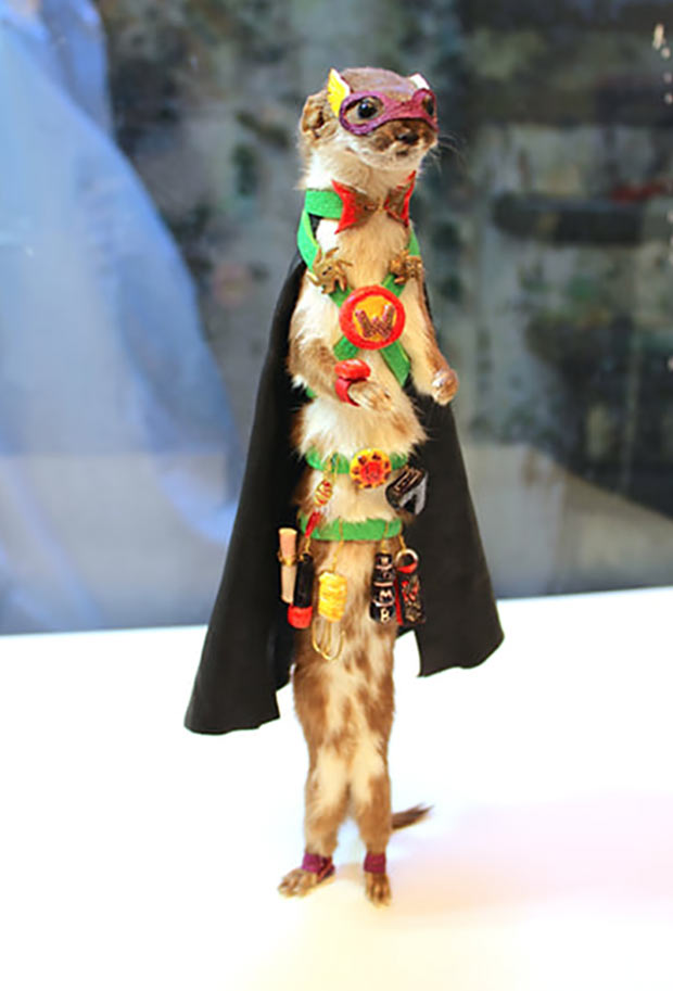 Hilarious Bad Taxidermy by artist Adele Morse | Team Jimmy Joe