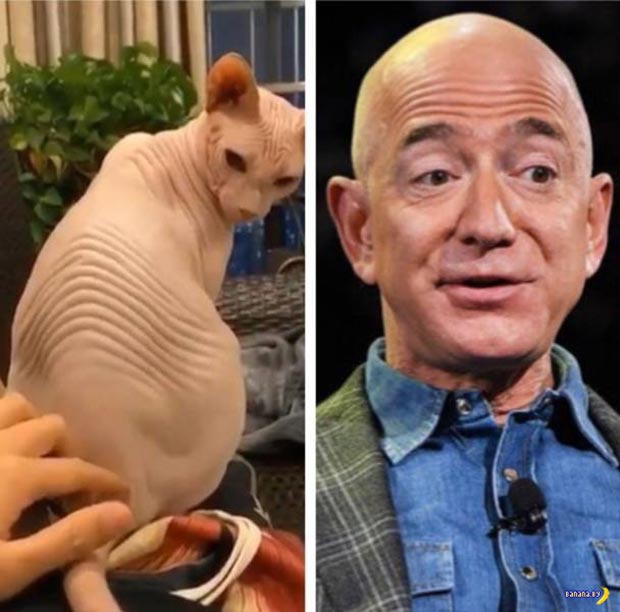 27 Funny Memes & Crazy Pics... Just Because | Team Jimmy Joe